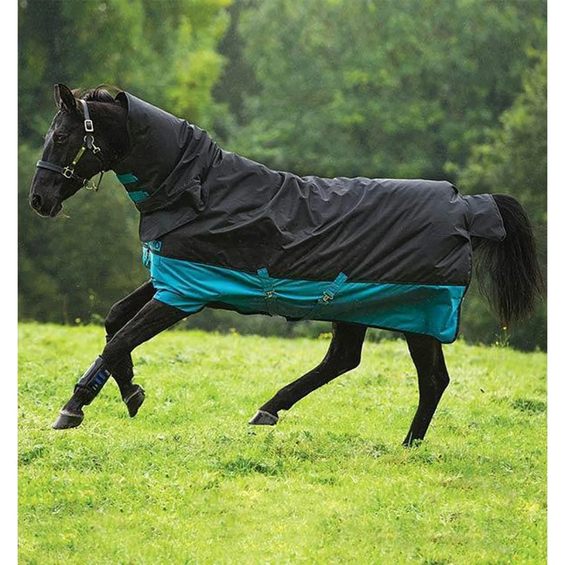 Horseware Mio All-In-One Piece Medium Weight Turnout 200G Rug Bla